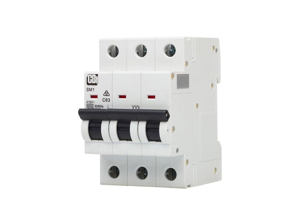 Miniature Circuit Breaker 10A C Curve
