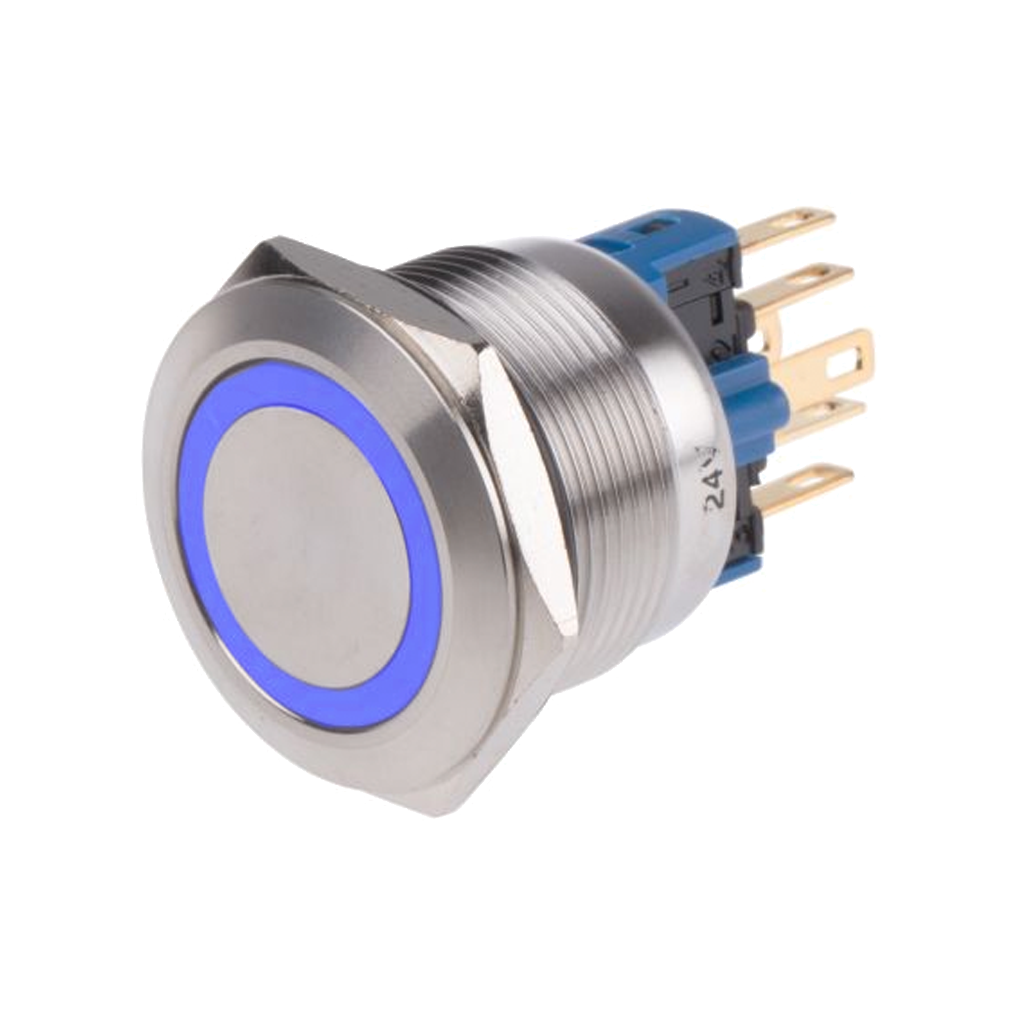 Anti-Vandal Momentary Switch 22mm 24V Blue